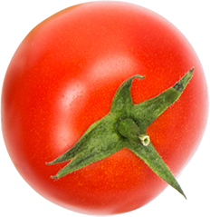 Buy Wholesale Produce Supplies in NYC | Valley View Produce